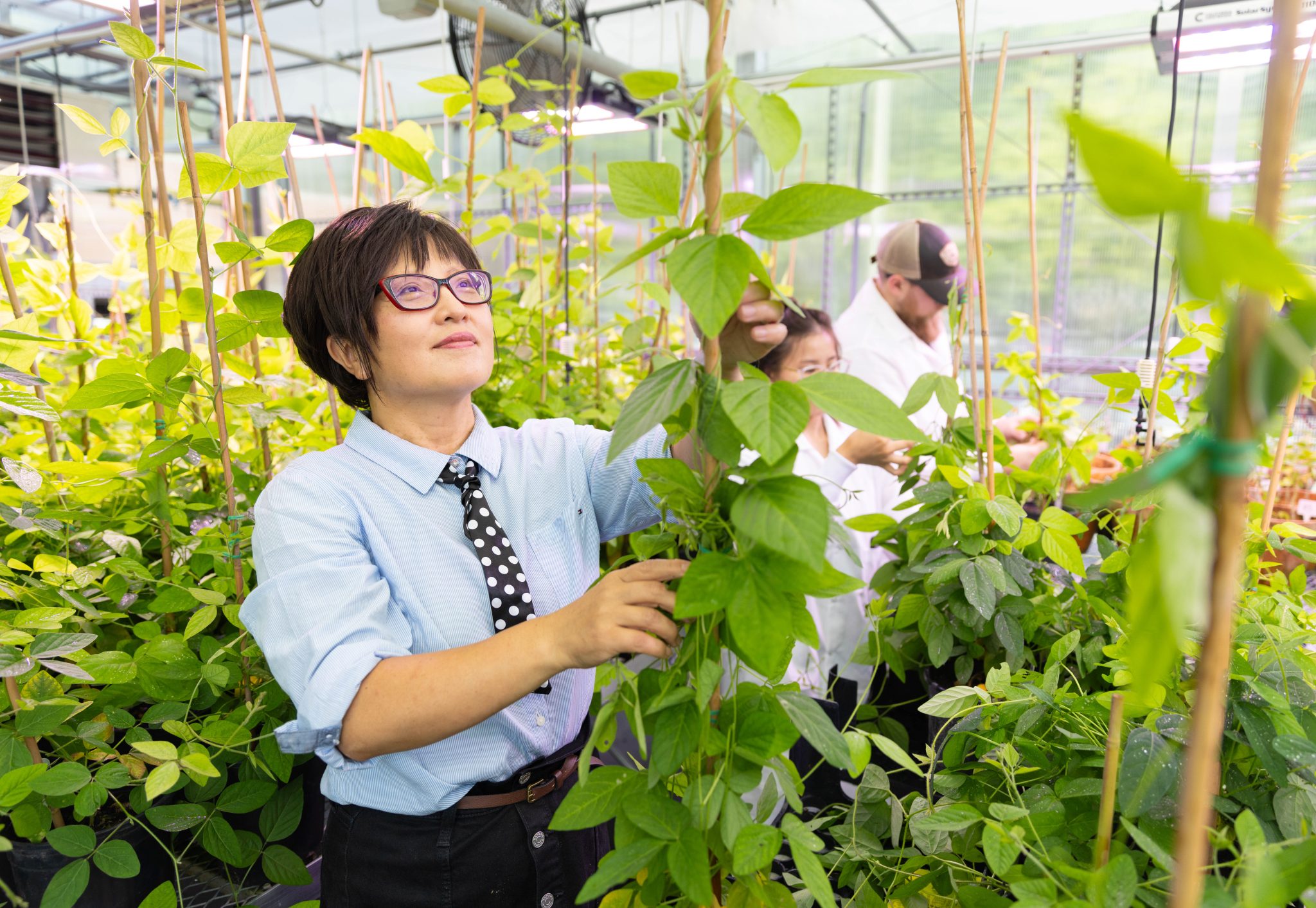 UNC Charlotte awarded R1 Carnegie classification, the highest ...